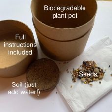 Plantshots, Eco-Friendly Complete Growing Kits Home page